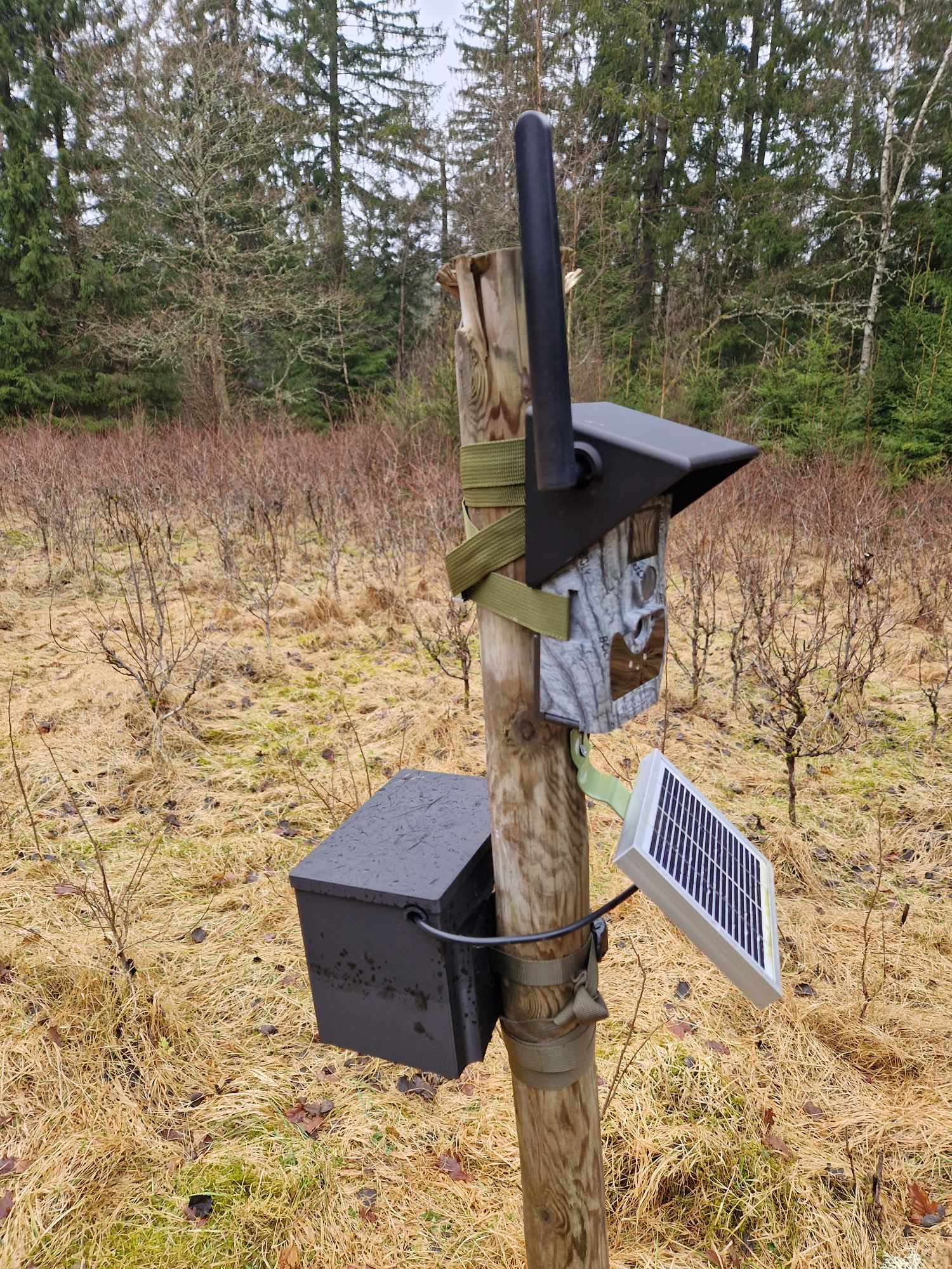 Keps + Batteri Box – 3D Robban